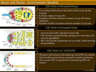 Cell vs Niche -Anjali Arora | PPTX