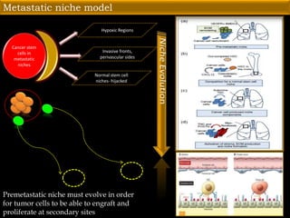 Cell vs Niche -Anjali Arora | PPTX