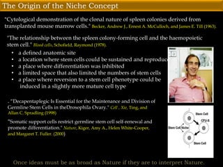 Cell vs Niche -Anjali Arora | PPTX