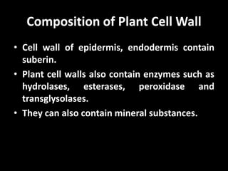plant cell wall components and Composition | PPTX