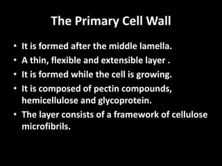 plant cell wall components and Composition | PPTX