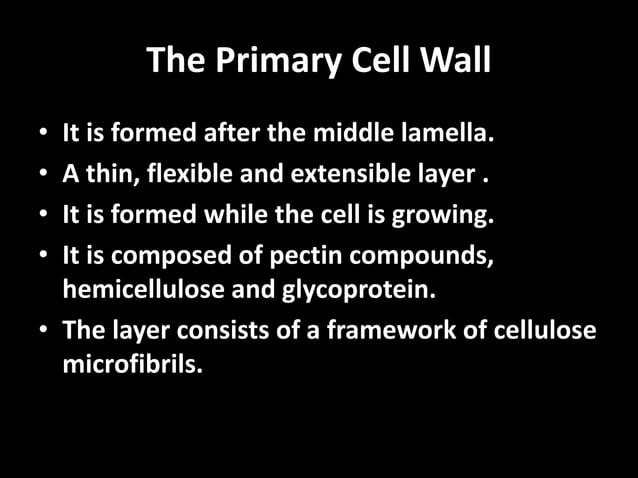 plant cell wall components and Composition | PPT