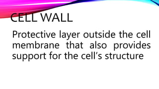 Cell wall | PPTX