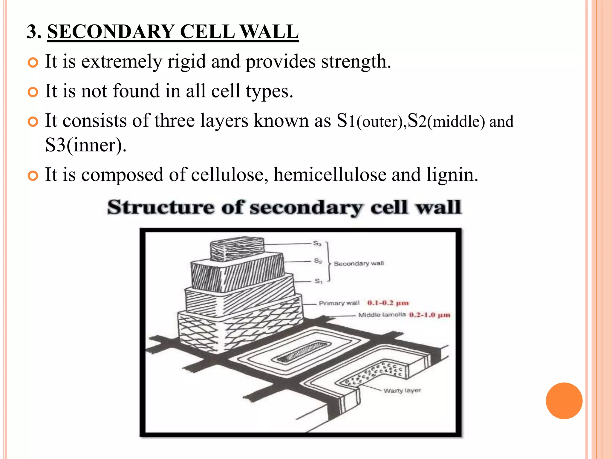 Cell wall structure and function | PPTX