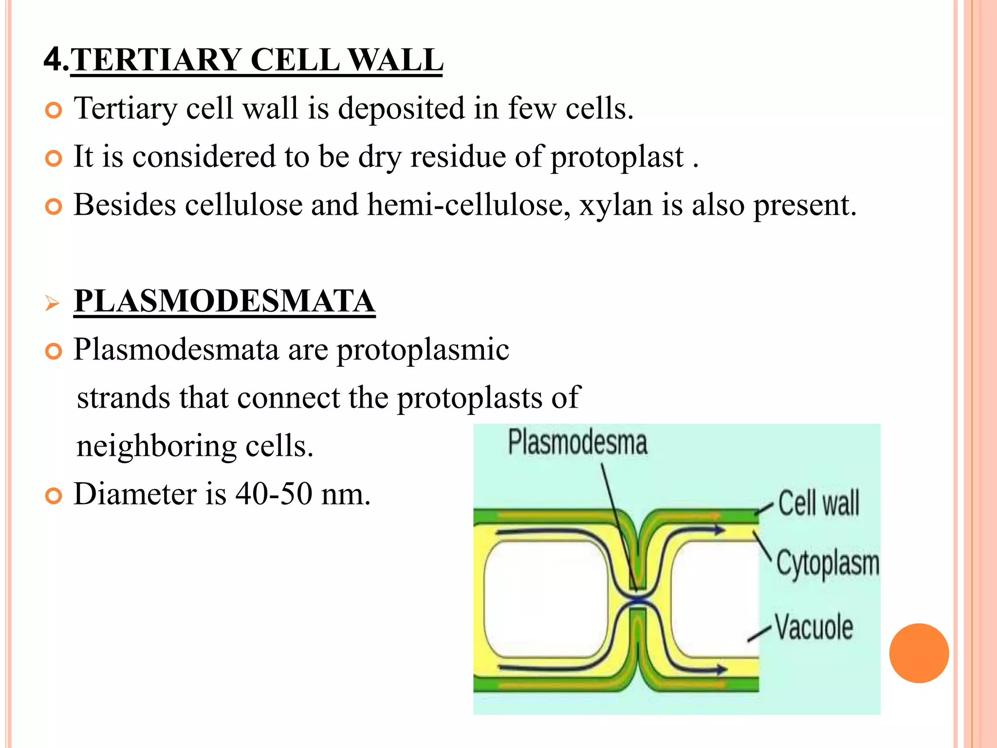 Cell wall structure and function | PPTX