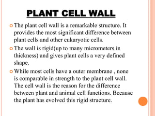 Cell wall structure and function | PPTX