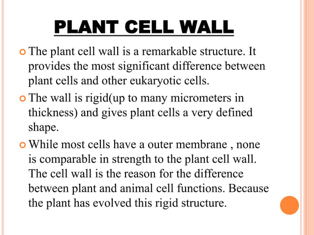Cell wall structure and function | PPTX | Biological Sciences | Science