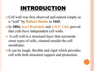 Cell wall structure and function | PPTX