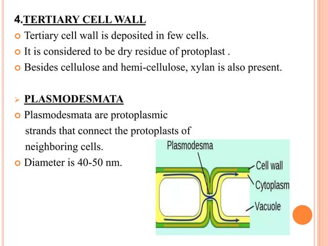 Cell wall structure and function | PPTX | Biological Sciences | Science