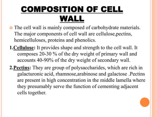Cell wall structure and function | PPTX | Biological Sciences | Science
