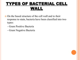 Cell wall structure and function | PPTX
