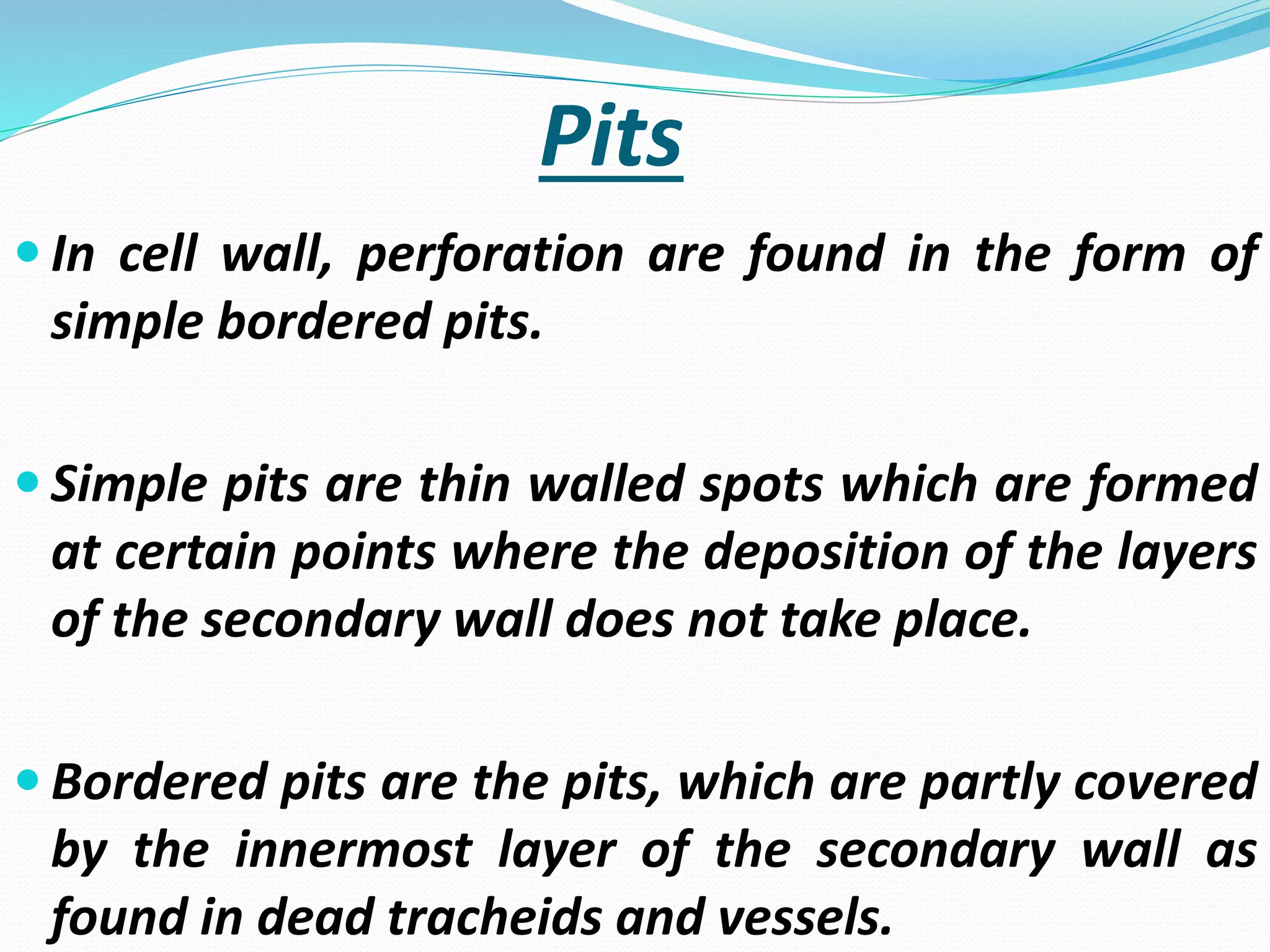 Cell wall | PPTX