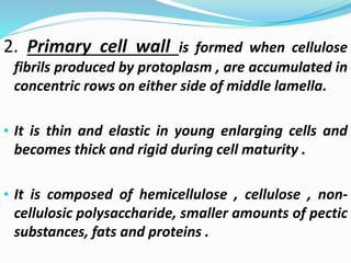 Cell wall | PPTX