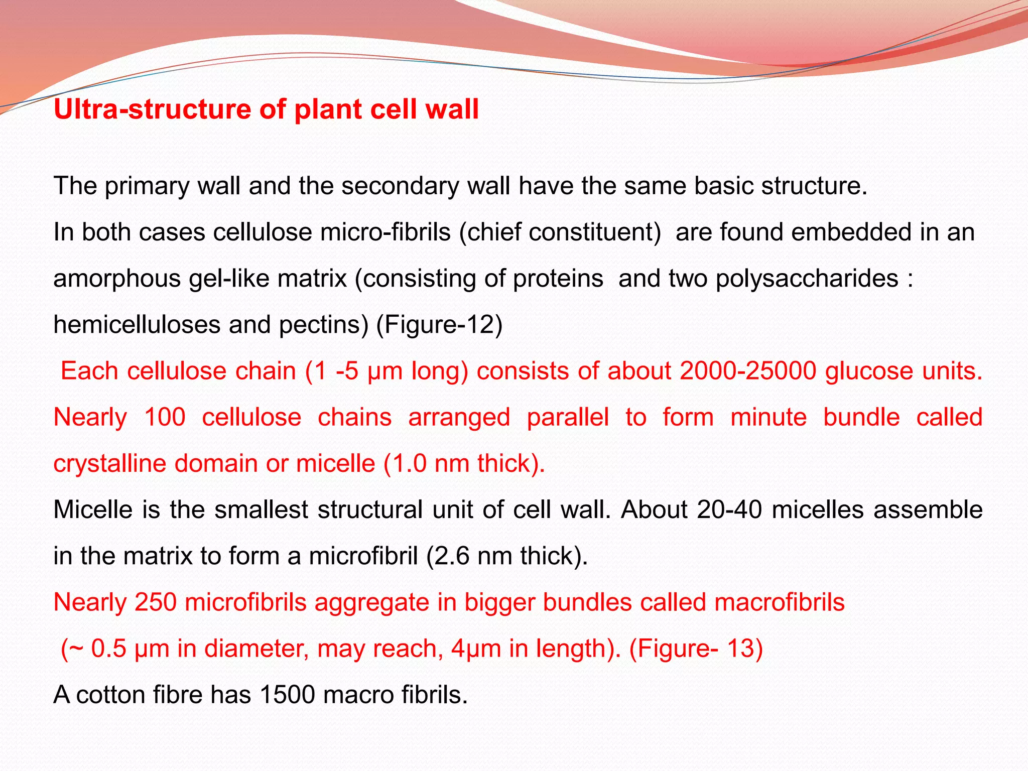 Cell wall | PPTX