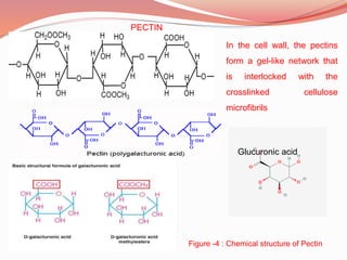 Cell wall | PPTX