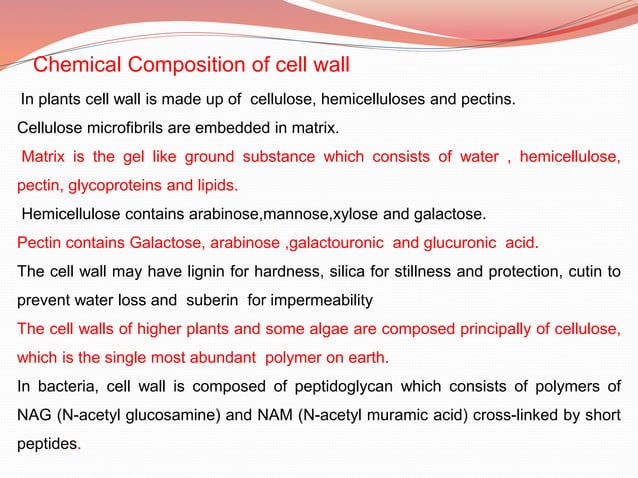 Cell wall | PPTX