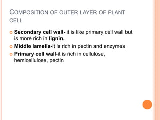 Cell wall | PPT