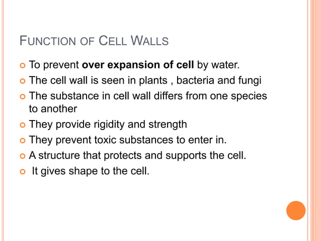 Cell wall | PPT
