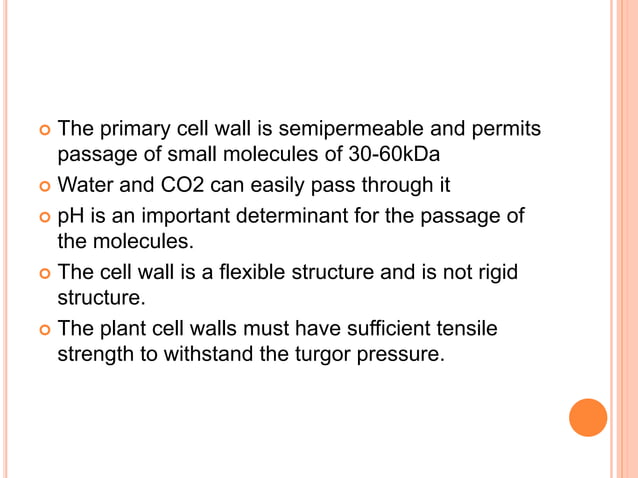 Cell wall | PPT