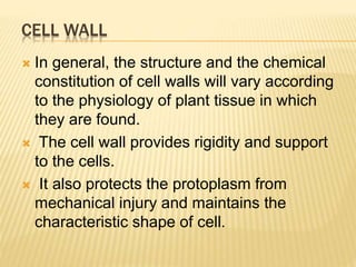 Cell wall structure and functions | PPTX
