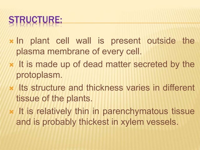 Cell wall structure and functions | PPTX | Chemistry | Science