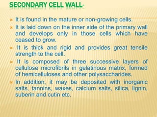Cell wall structure and functions | PPTX