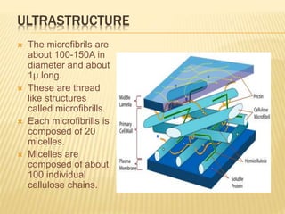 Cell wall structure and functions | PPTX