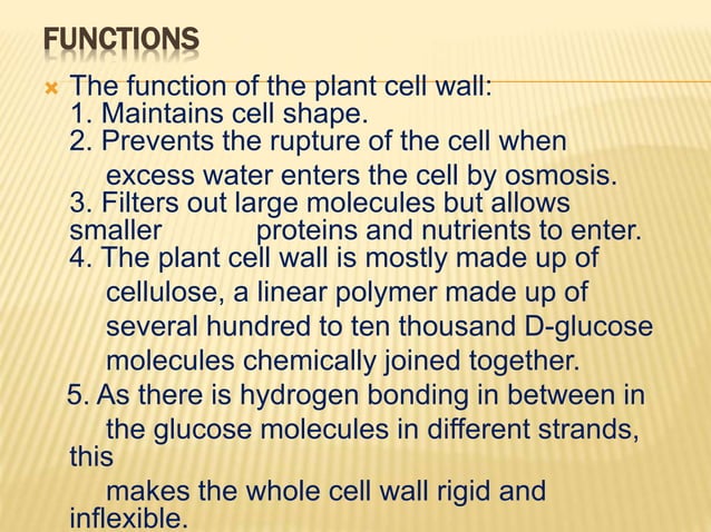 Cell wall structure and functions | PPTX | Chemistry | Science