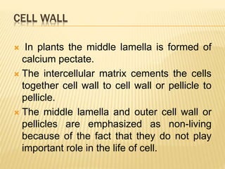 Cell wall structure and functions | PPTX