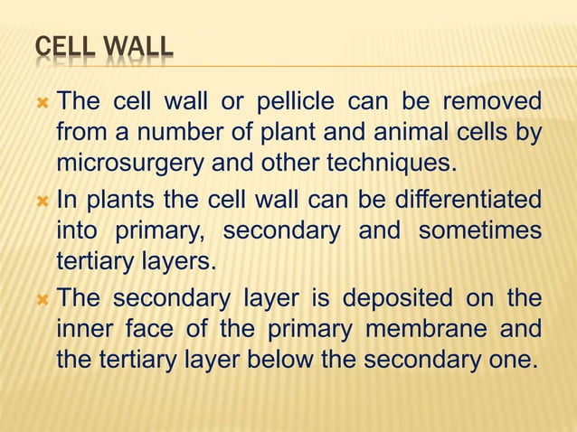 Cell wall structure and functions | PPTX | Chemistry | Science