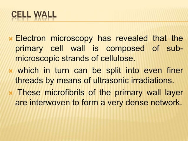 Cell wall structure and functions | PPTX | Chemistry | Science