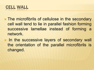Cell wall structure and functions | PPTX