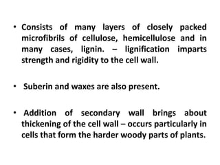 PLANT CELL WALL SMG | PPT