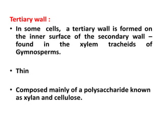 PLANT CELL WALL SMG | PPT