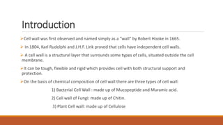 Cell wall | PPT
