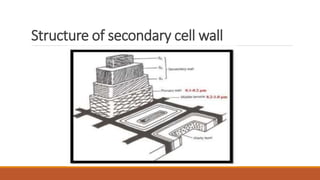 Cell wall | PPT