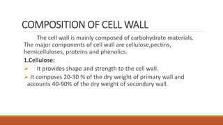 Cell wall | PPT