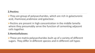 Cell wall | PPTX