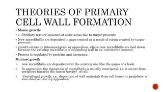 Cell wall.presentation | PPT