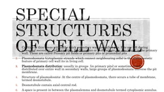 Cell wall.presentation | PPT