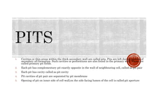Cell wall.presentation | PPT