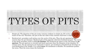 Cell wall.presentation | PPTX