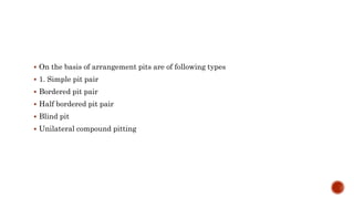 Cell wall.presentation | PPT