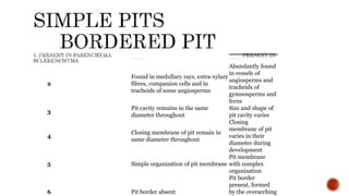 Cell wall.presentation | PPT