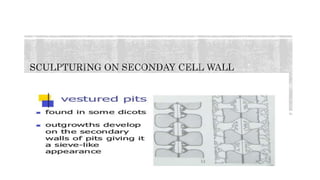 Cell wall.presentation | PPT