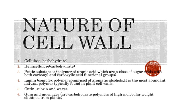 Cell wall.presentation | PPT