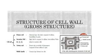 Cell wall.presentation | PPTX