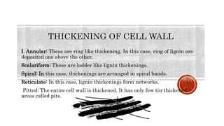 Cell wall.presentation | PPTX