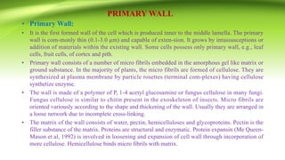 Cell wall | PDF