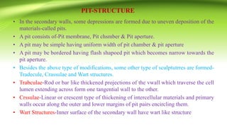 Cell wall | PDF